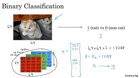 W2 Neural Networks Basics Deep Learning Specialization