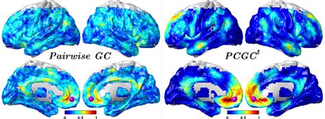 Figure 3 From Mapping The Voxel Wise Effective Connectome In Resting State Fmri Semantic Scholar
