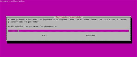 Installing And Securing Phpmyadmin On Ubuntu 1804 • Cloudsigma