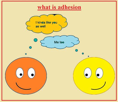 Difference Between Adhesion And Cohesion The Engineering Knowledge