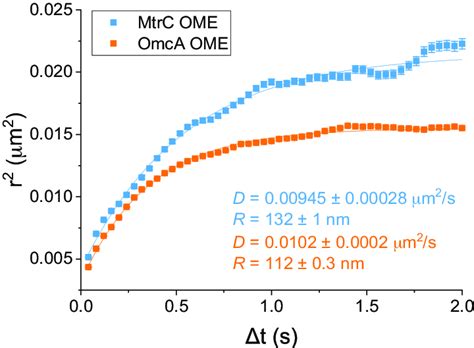 Ensemble Mean Squared Displacement Msd Analysis Shows Overall