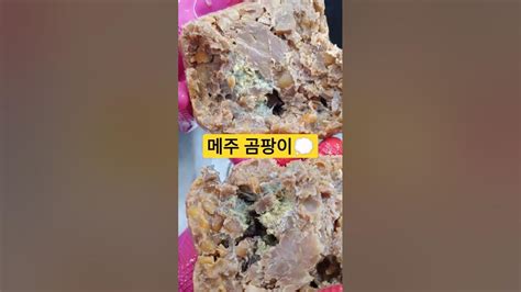 숙성된 진짜배기 메주 곰팡이 Youtube
