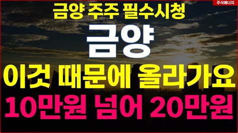 금양 이 것 때문에 주가 올라가요 10만원 넘어 20만원 갑니다 금양 주주 필수시청 리튬 금양주가 금양주가전망 박순혁 박순혁이사 에코프로 에코프로비엠 서정덕tv