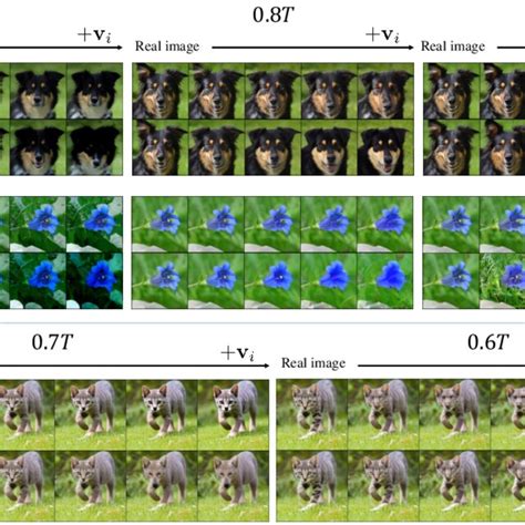 Figure A1 Importance Of The Discovered Latent Directions Random Download Scientific Diagram