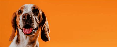 Evolv Ai Pricing Features And Details In 2025