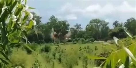 Dvb မြင်းမူမြို့နယ်အတွင်း စစ်ကောင်စီ ထောက်ပို့ယာဉ်တန်း မိုင်းခွဲ တိုက