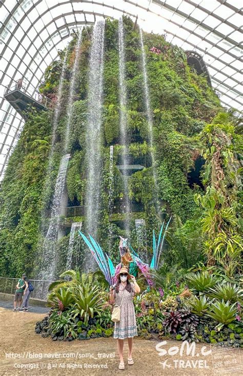 싱가포르 가든스바이더베이 아바타 입장권 할인 예약 관람 팁 🦋 네이버 블로그