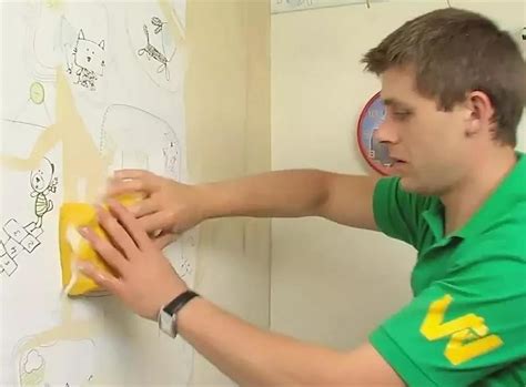 Как снять старые обои без лишний усилий Пошаговая инструкция с фото и описанием лучших способов