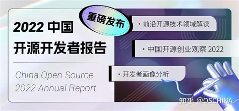 Rust将迎爆发式增长更多国产编程语言进入视野编程语言领域解读 知乎