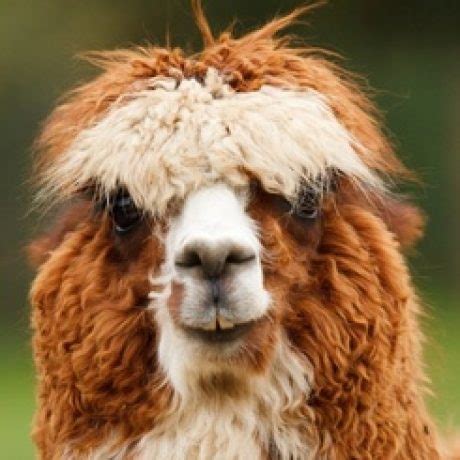 Curso Python Módulo Píldoras Informáticas