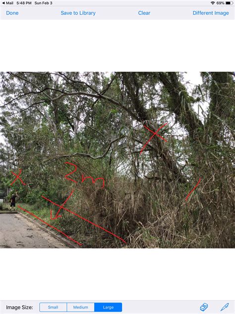 Use The Formconnect App To Manage And Organize Your Photos Formconnections