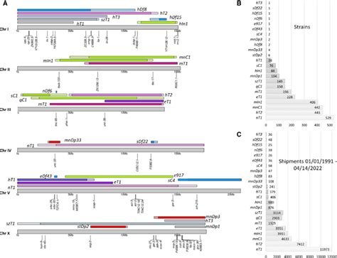 Overview Of Balancers A Map Of The C Elegans Genomic Regions