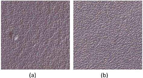 Figure 1 From Integrated Neural Network And Machine Vision Approach For Leather Defect