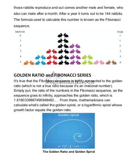 CBSE Class 11 Applied Mathematics Project FIBONACCI SEQUENCE