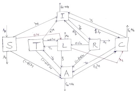 Tikz Pgf I Tried Drawing This Diagram In Latex But I M Having Trouble With The Arrows TeX