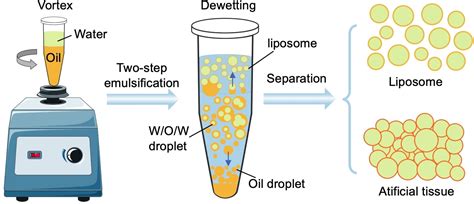 Easy Rapid And High‐throughput Production Of Single And