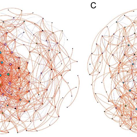 Network Analysis Revealing Bacterial Co Occurrence In Macroaggregates Download Scientific