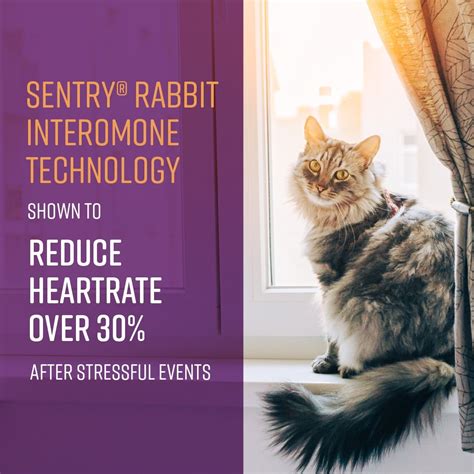 Sentry Behavior Portable Calming Diffuser For Cats