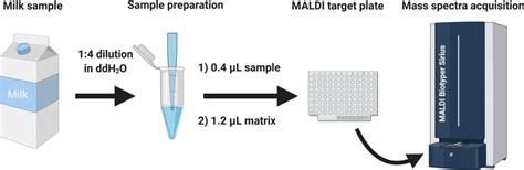 Schematic Diagram Of The Sample Preparation Process For The Test
