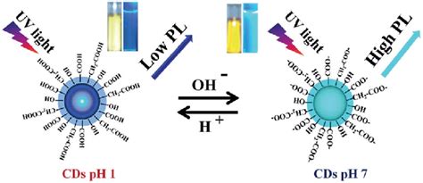 Scheme 1 Schematic Representation Of Cds Obtained From Citric Acid At