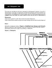 Lab 3 Simple Phylogenetic Trees Marce Xlsx This Exercise Introduces The Basic Methods Of