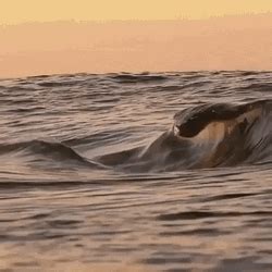 Slow Motion Ocean Waves 