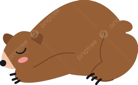 A Vector Or Color Illustration Of A Slumbering Brown Bear Vector Tail