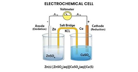 Electrochemical Cell Assignment Point