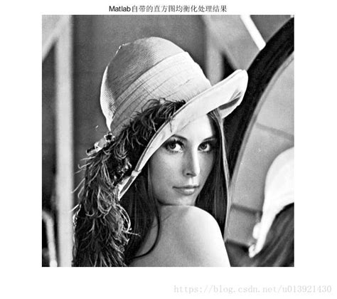 【图像处理】直方图均衡化附带matlab及opencv3自编程实现代码自主编程实现灰度直方图均衡化处理算法 Csdn博客