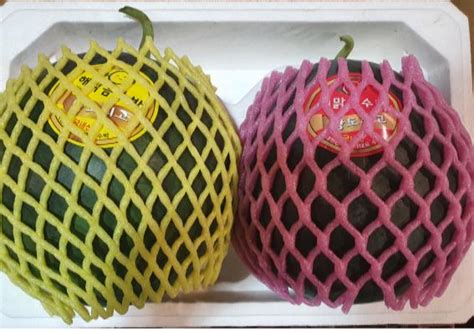 해맑음 수박 2통 노란색빨간색 미니수박 해맑은상상 밀양팜