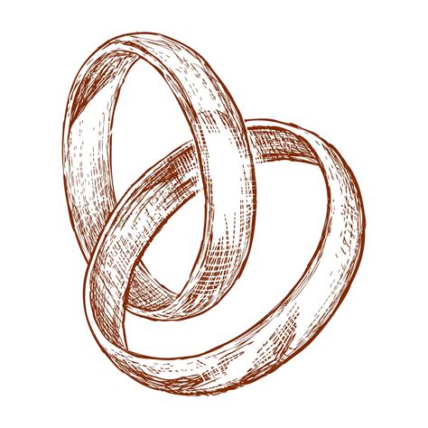 Hochzeitsringe Aus Gold Zwei Skizzen Symbol Liebesvereinigung Ehe
