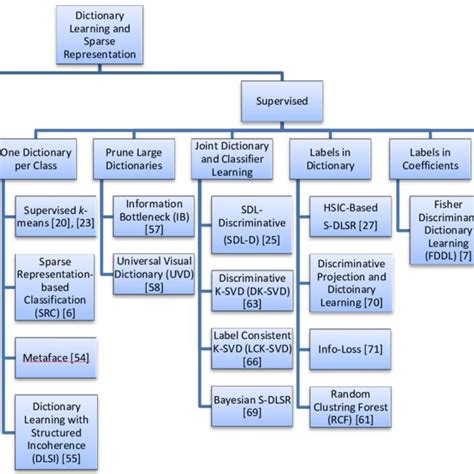 Taxonomy Of Dictionary Learning And Sparse Representation As Presented