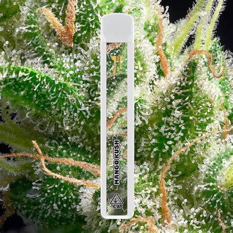 Mango Kush Vape Mr Jayr Gas