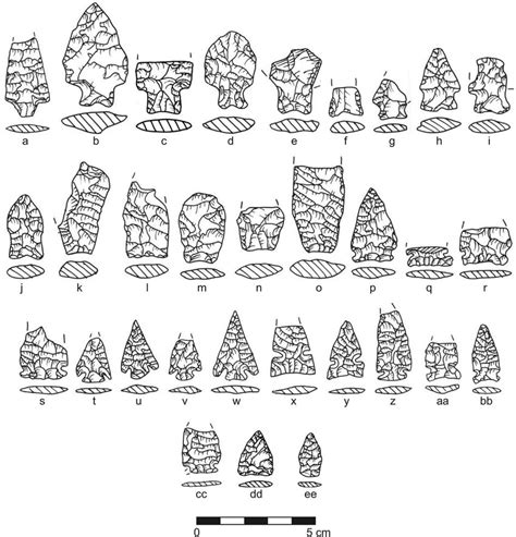 03 Projectile Point Types Exhibited In The Assemblage Gatecliff Download Scientific Diagram