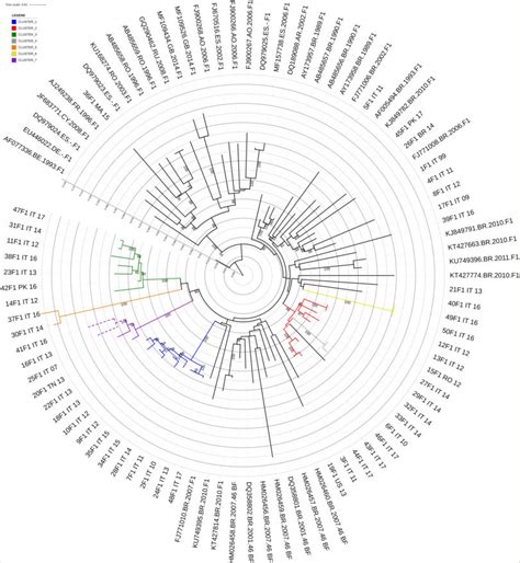 phylogenetic inference derived from sequence analysis of the subtype