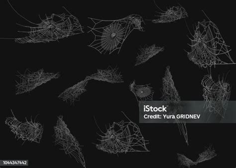 거미줄 검정 투명 한 배경에 고립의 컬렉션입니다 할로윈 디자인을 위한 거미줄입니다 스파이더 웹 요소 유령 무서운 공포 할로윈