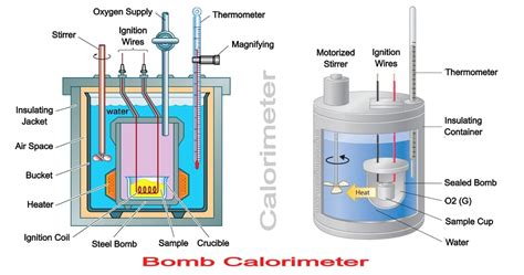 Food Calorimeter