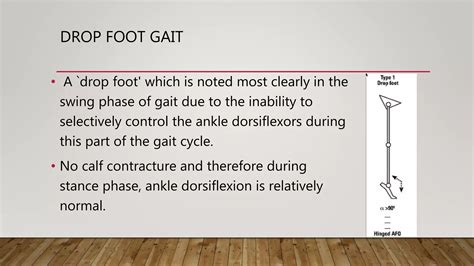 Neurological Gait Rehabilitation Pptx