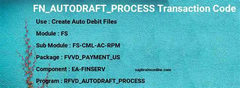 FN AUTODRAFT PROCESS SAP Tcode For Create Auto Debit Files