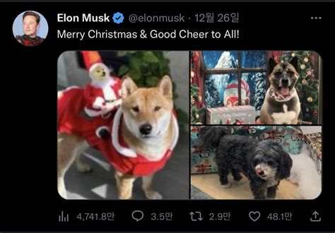 머스크는 도지를 버렸을까 가상화폐 에펨코리아