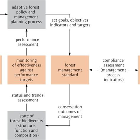 Conceptual Framework Of An Integrated Biodiversity Monitoring Programme Download Scientific