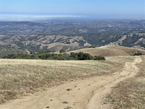 Best Hikes And Trails In Mitteldorf Preserve Alltrails