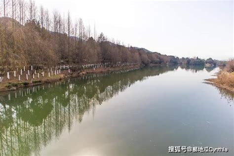 杭州这座博物馆的外观就像一艘船，内有我国八千年前第一艘独木舟 跨湖桥