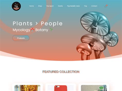 A Responsive Woocommerce Store Upwork