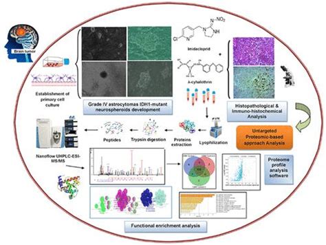 Differential Proteome Profiling Analysis Under Pesticide Stress By The