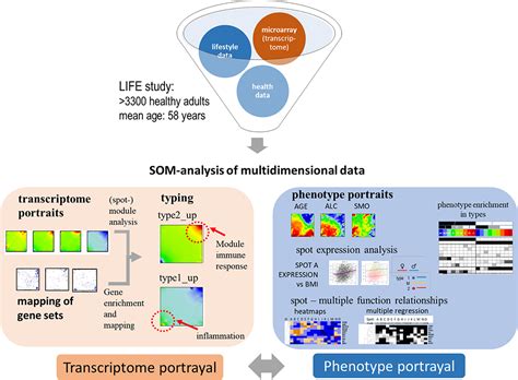 Transcriptome Map