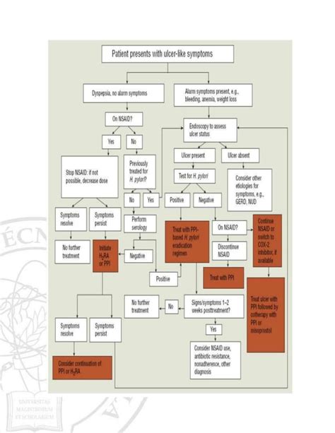 Ulcer Peptic Algorithm Docx Digestive Disorders Diseases And Conditions