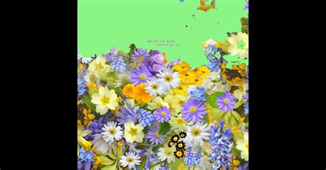 ‎아기의 감성발달과 정서 안정을 위한 태교 명상음악 봄이 오는 소리 들어봐 Single — álbum De 태교테라피 뮤직 — Apple Music