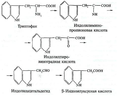 Гормоны растений как основные регуляторы роста и развития