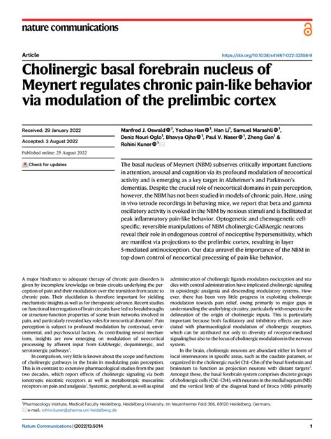 [pdf] Cholinergic Basal Forebrain Nucleus Of Meynert Regulates Chronic